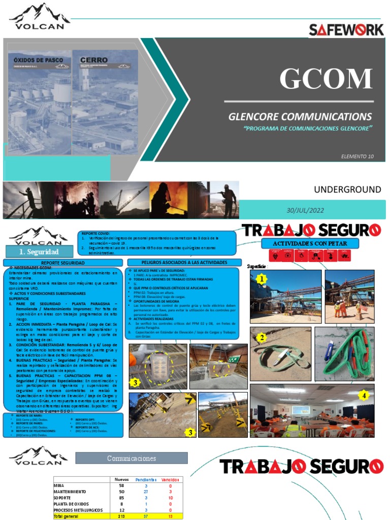 GCOM 30.07.22 Avance | PDF | Especialidades Medicas