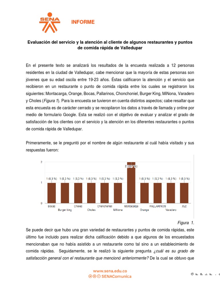 INFORME. Encuesta | PDF