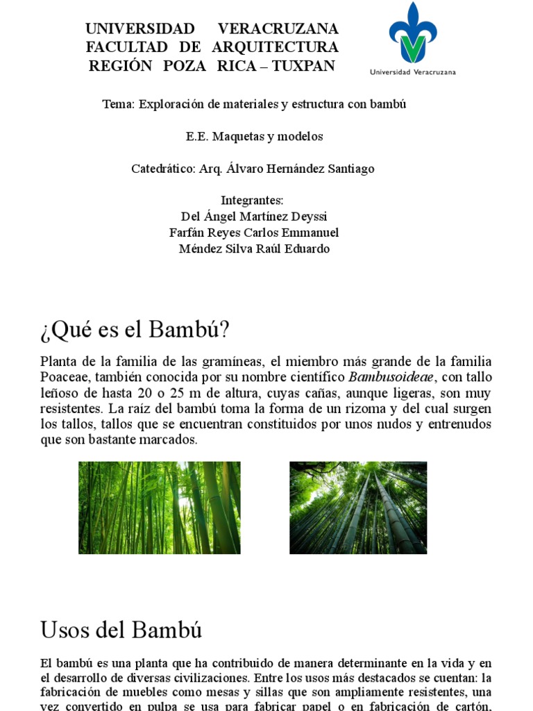 bambú | PDF