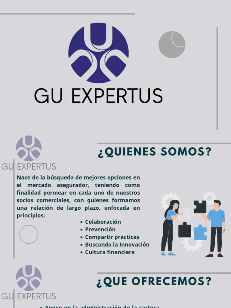 Presentación Gu Expertus | PDF | Economias