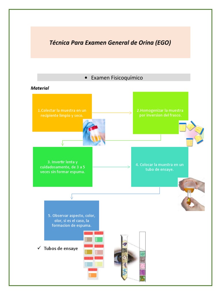 Tecnica Examen General de Orina (EGO) | PDF | Química