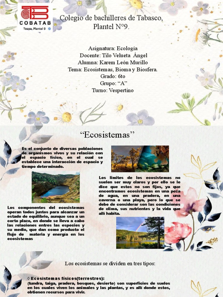 Ecosistemas, Biomas y Biosfera Explicados | PDF | Ecosistema | Biogeografia