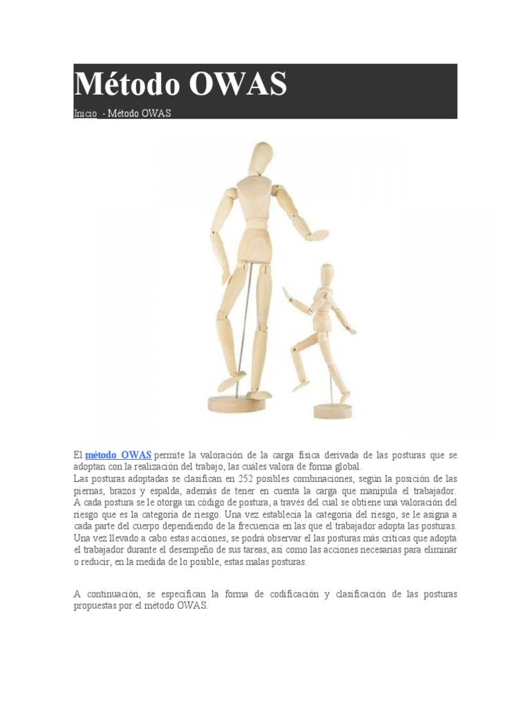 Metodo Owas | PDF | Software