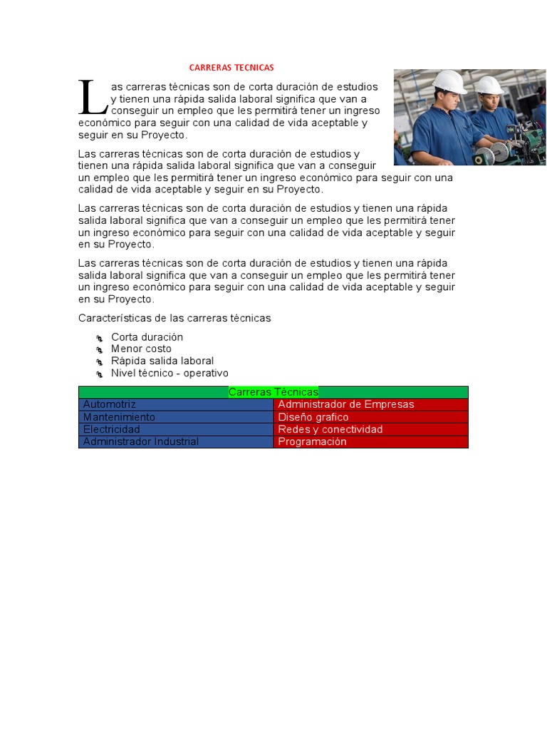 Carreras Tecnicas | PDF | Negocios | Informática