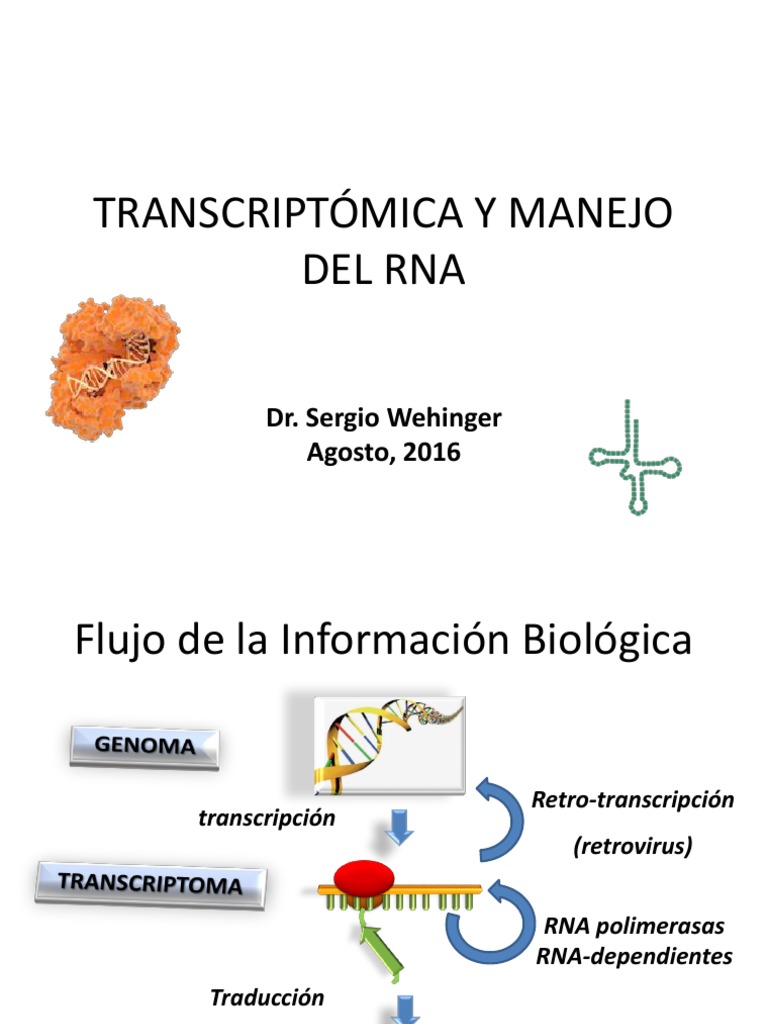 Transcriptómica 2016 | PDF | Adn | Rna interferente pequeña
