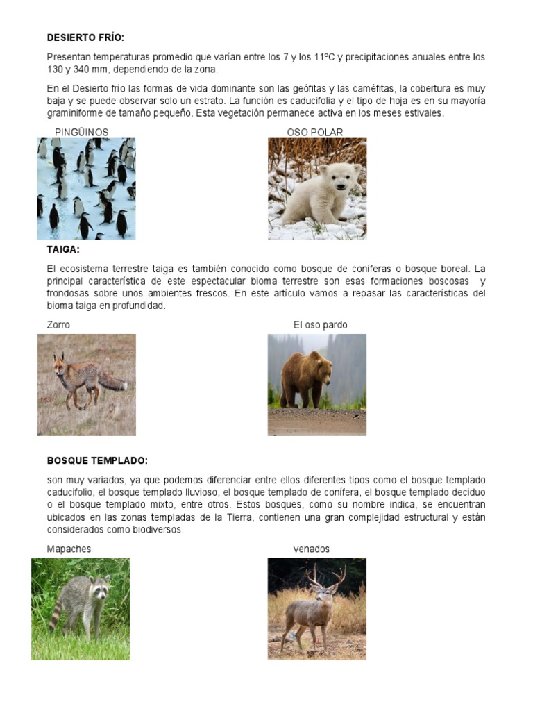 Tipos de Ecosistemas Terrestres | Descargar gratis PDF | Selva | Desierto