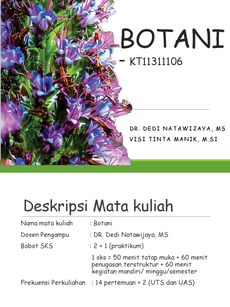 BOTANI - I. DAUN Update | PDF