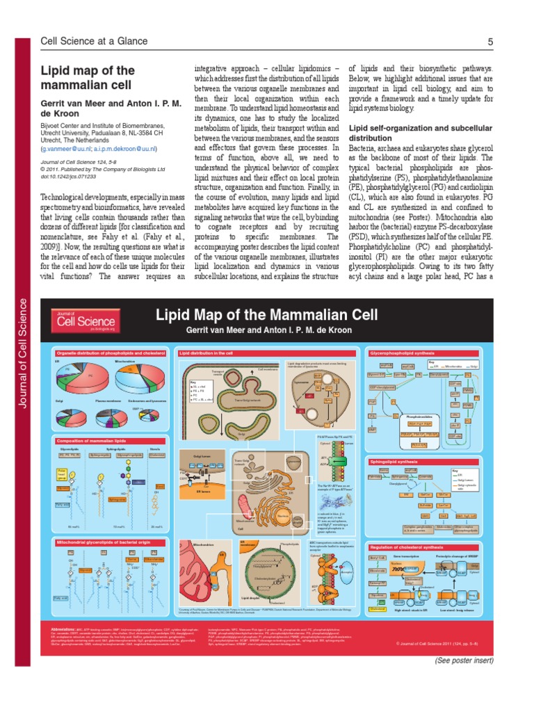 Lipid Map of The Mammalian Cell | PDF | Cell Membrane | Lipid