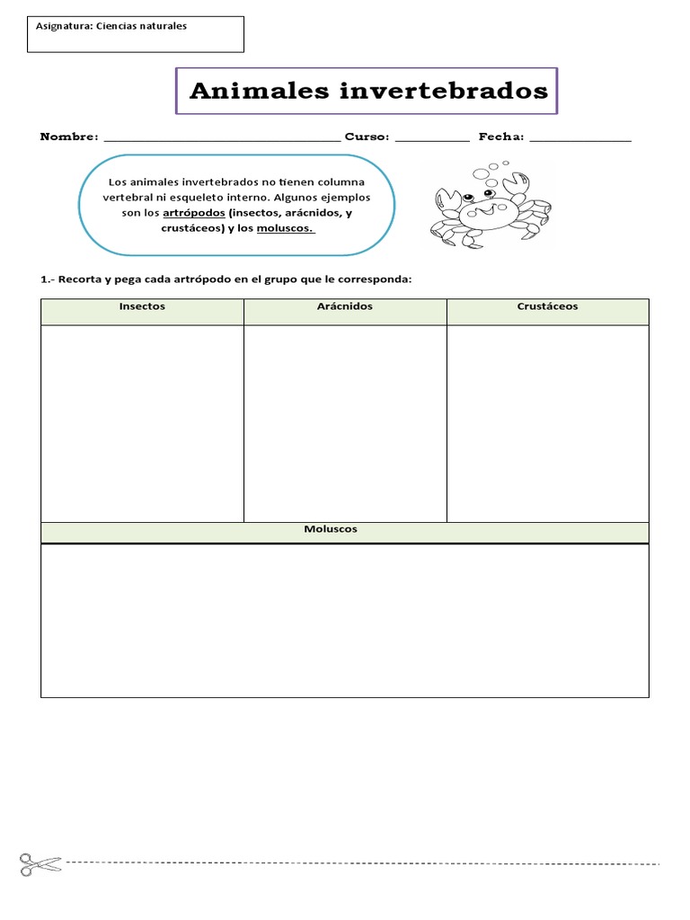 Guía Animales Invertebrados 2° Basico | PDF