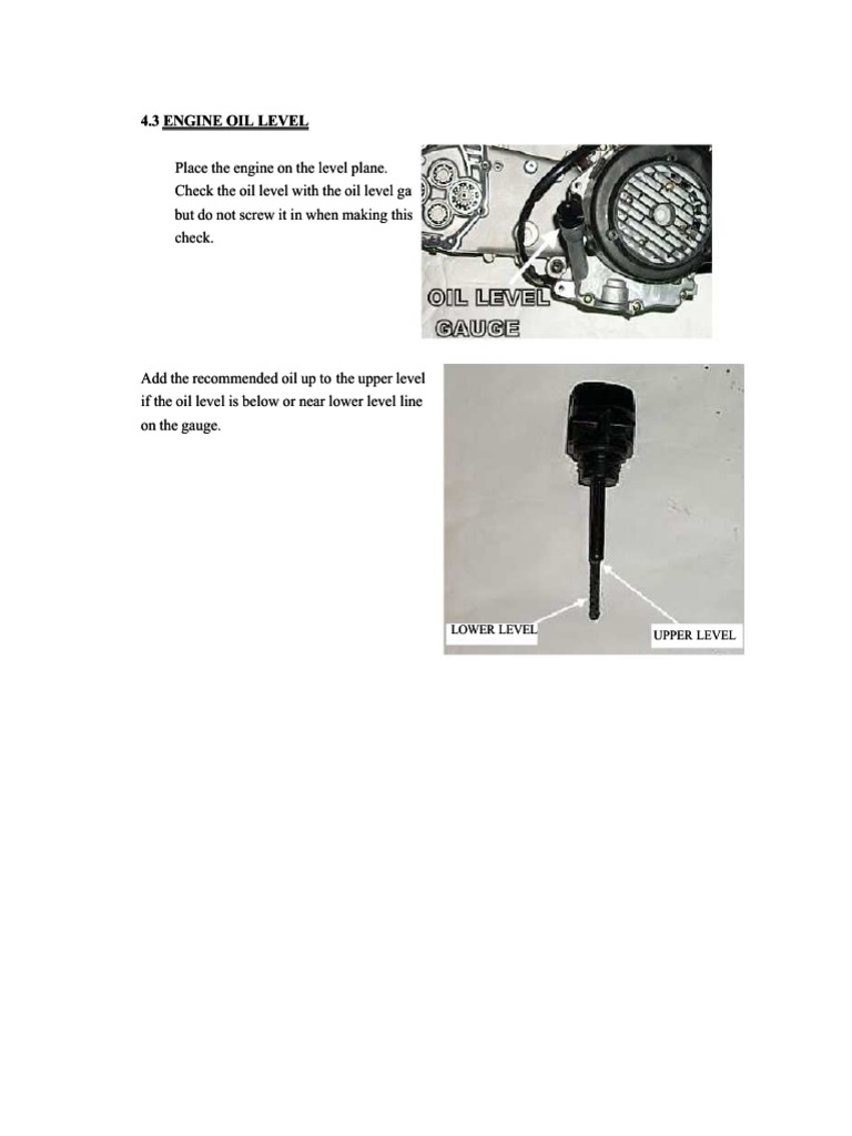 GY6 Engine Oil and Maintenance Guide | PDF | Piston | Belt (Mechanical)