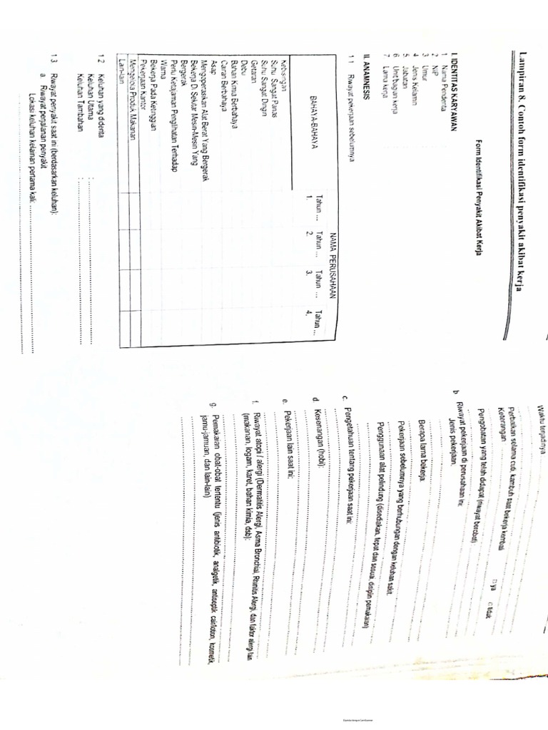 Contoh Form Identifikasi PAK | PDF