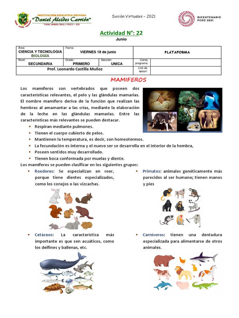 Características de los Mamíferos en Biología | PDF | Mamíferos | Murciélago