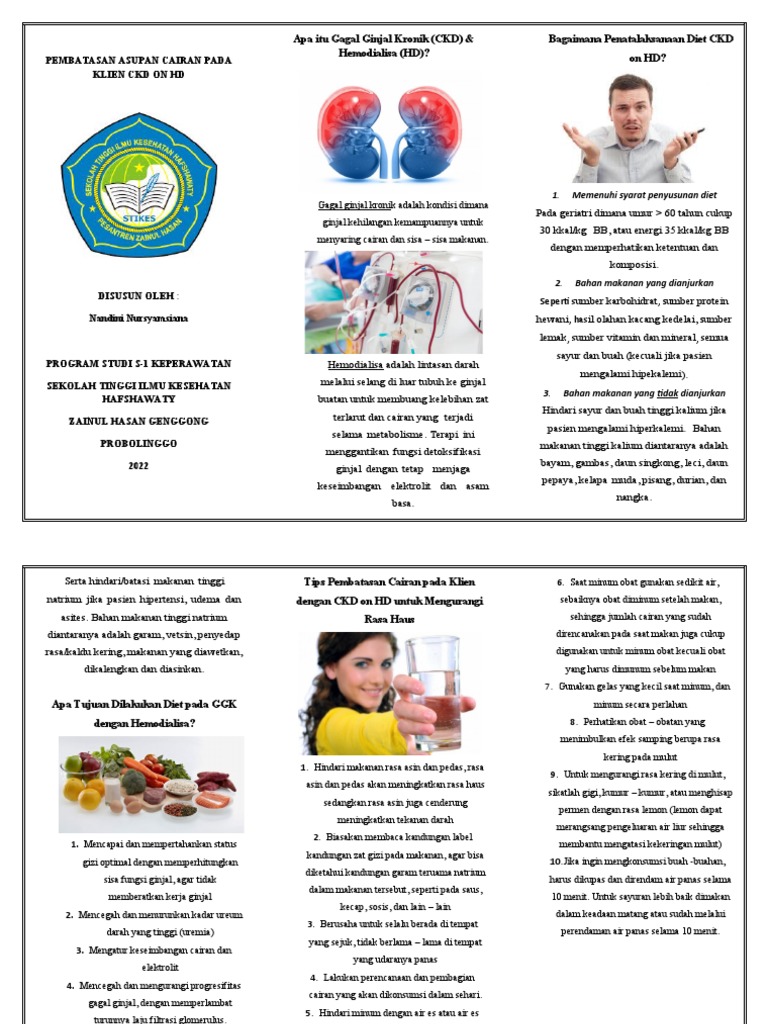 Leaflet CKD | PDF
