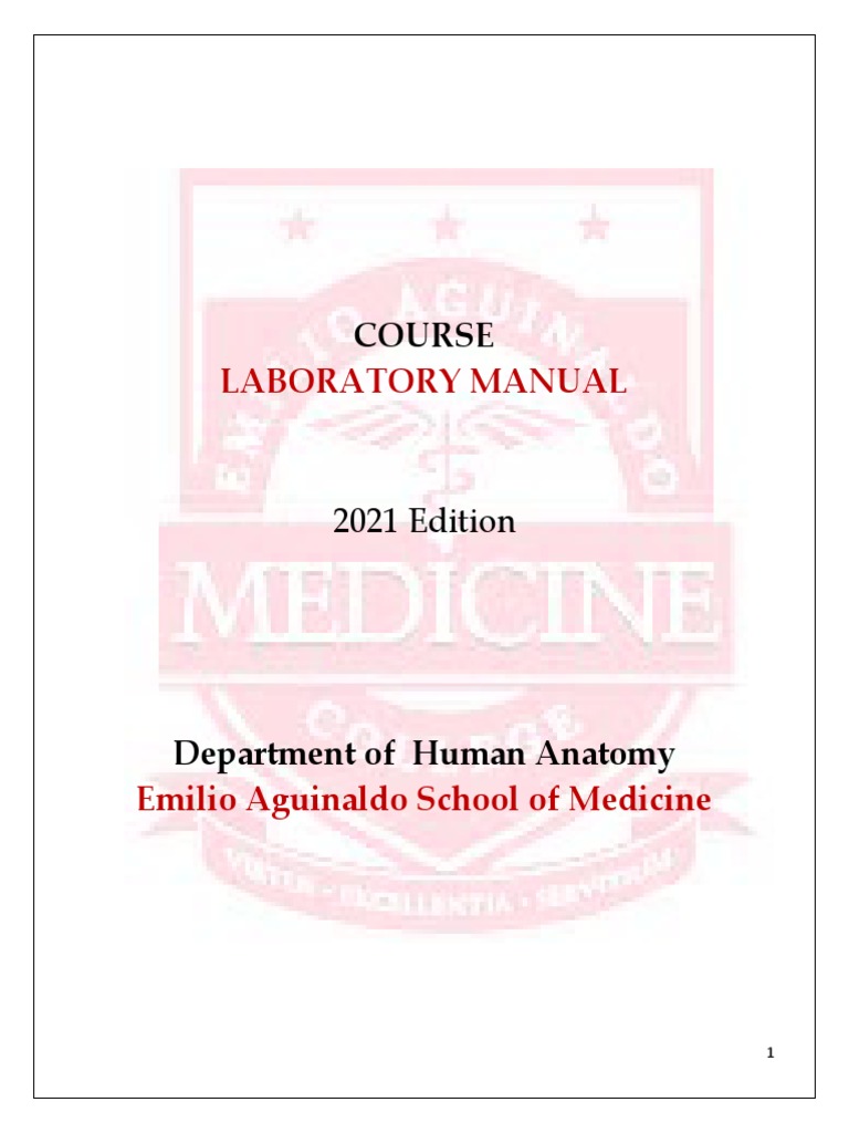 SANTHOSH JENNIFER MARIA LABEX 24 Ant. Abd Wall and Cavity | PDF ...