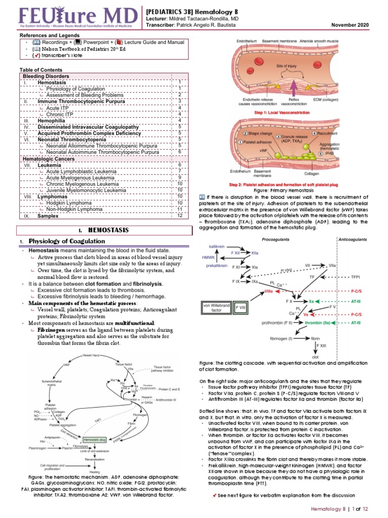 Pediatric Hematology Overview | PDF | Coagulation | Hemostasis