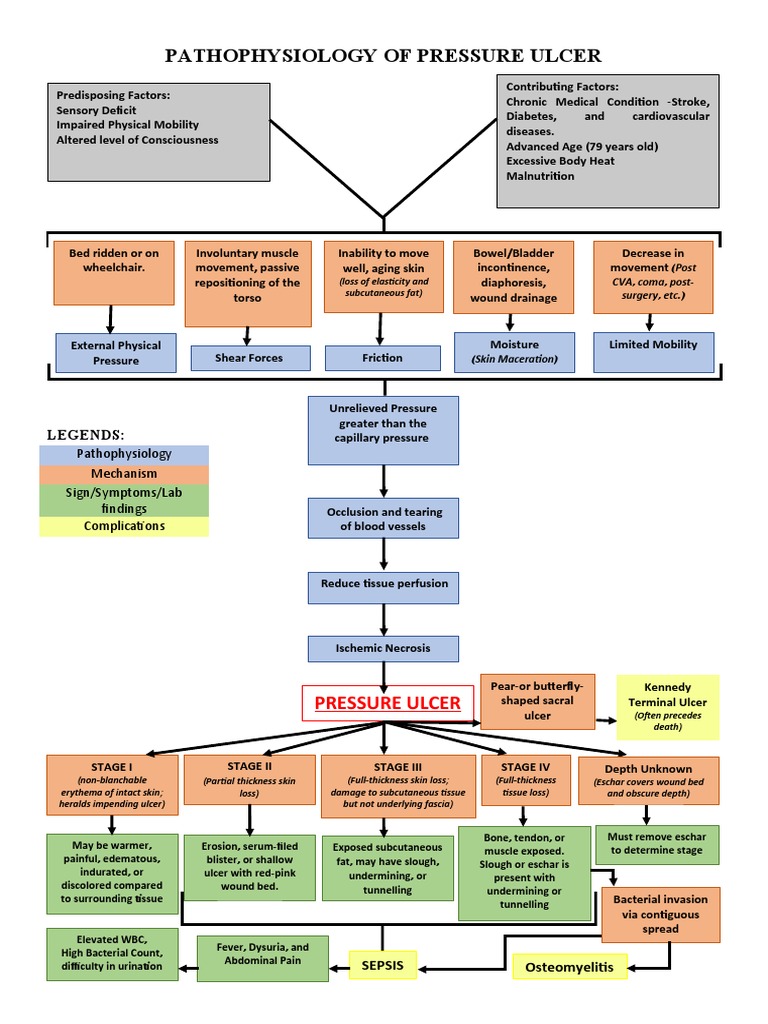 Pathophysiology of Pressure Ulcers | PDF | Clinical Medicine | Medical ...