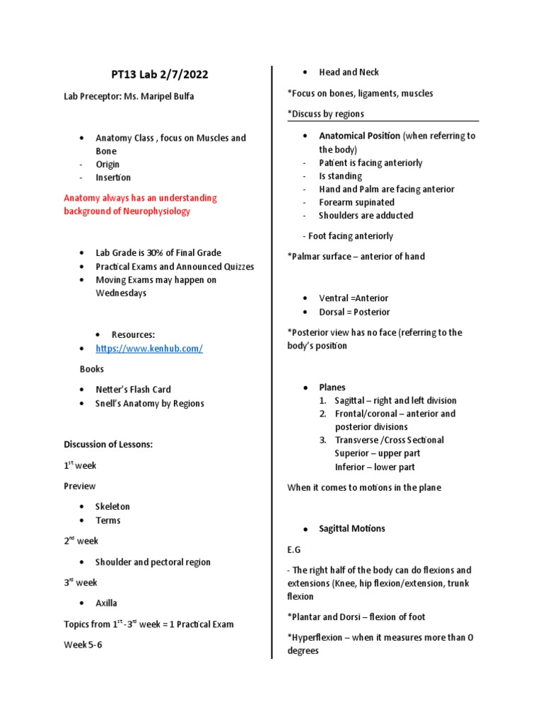 PT13 Lab 2/7/2022: Anatomy Always Has An Understanding Background of Neurophysiology | PDF ...