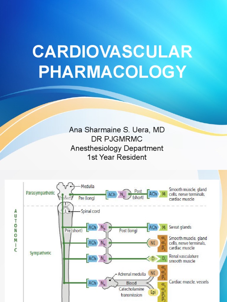 Cardiovascular Pharmacology: Ana Sharmaine S. Uera, MD DR PJGMRMC ...