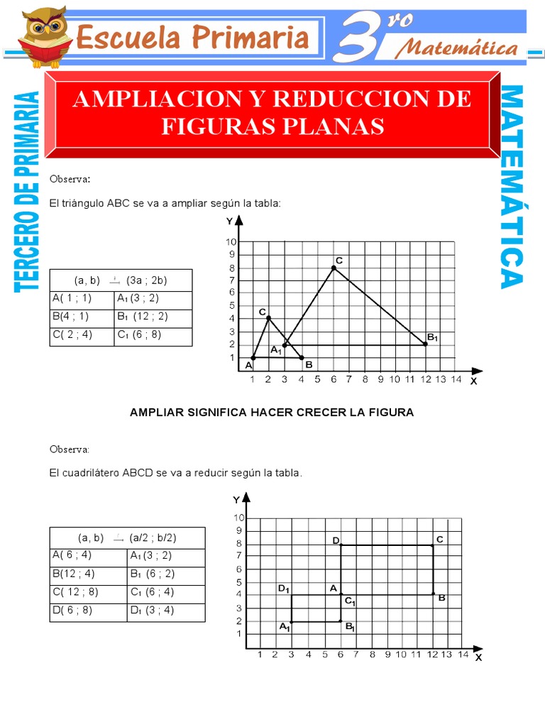 Ampliacion Y Reduccion De Figuras Planas Para Tercero De Primaria Pdf