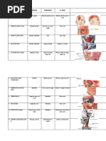 Open and Closed Packed Positions of Joints | PDF | Anatomical Terms Of ...