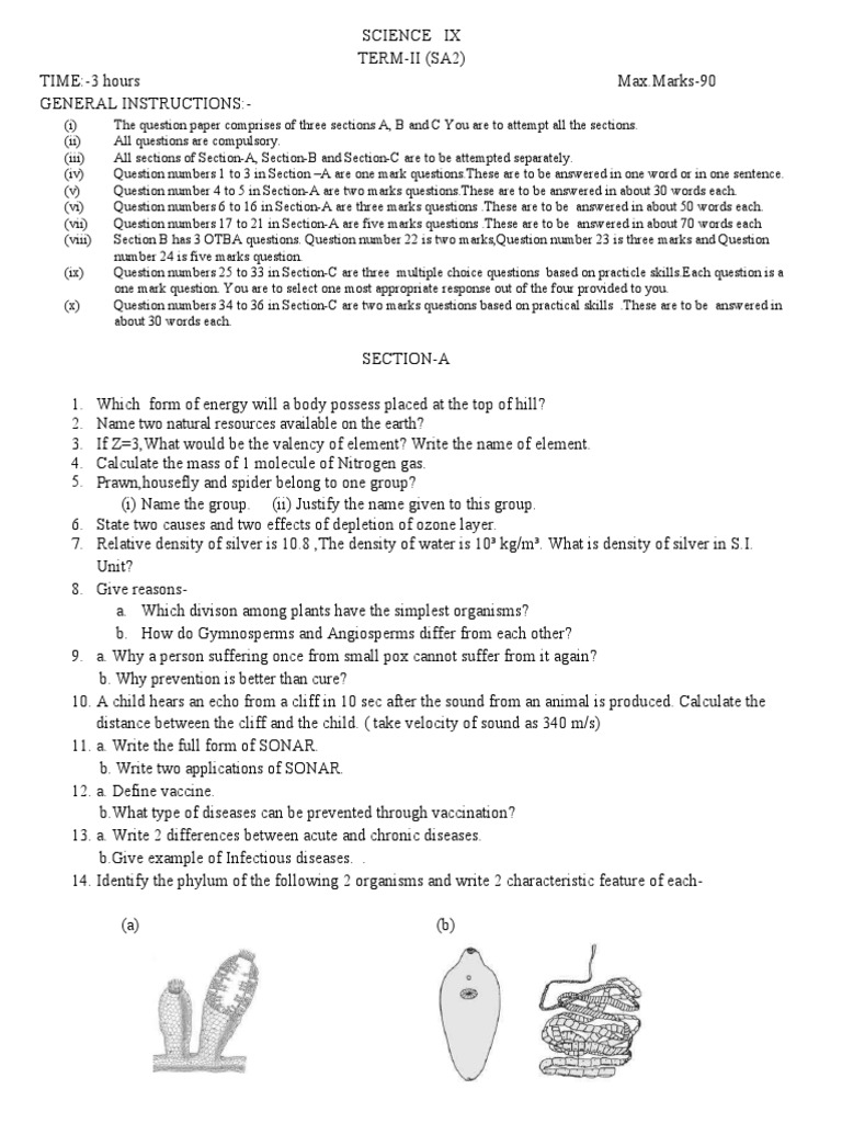 Ix-Practice Paper-Science-Set-1 | PDF | Nature | Physical Sciences