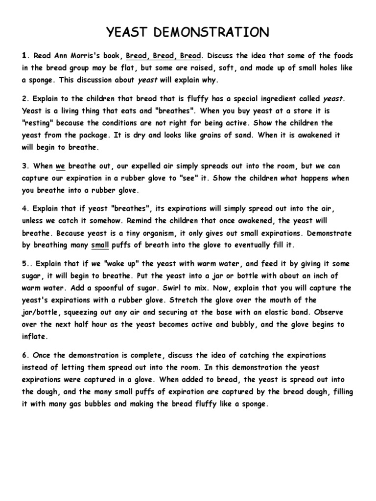Yeast Demonstration | PDF | Breads | Experience