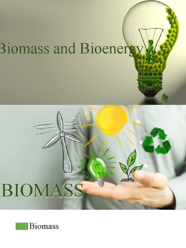 Biomass and Bioenergy | PDF | Solar Power | Geothermal Energy
