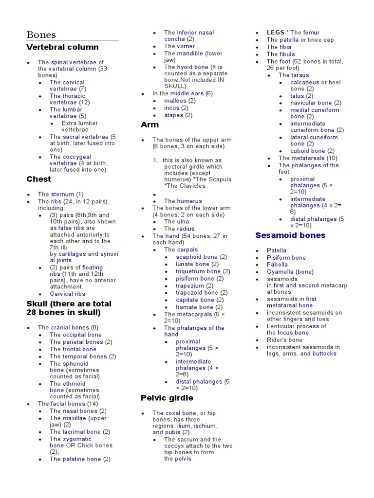 List of 206 Bones | Download Free PDF | Vertebra | Hand