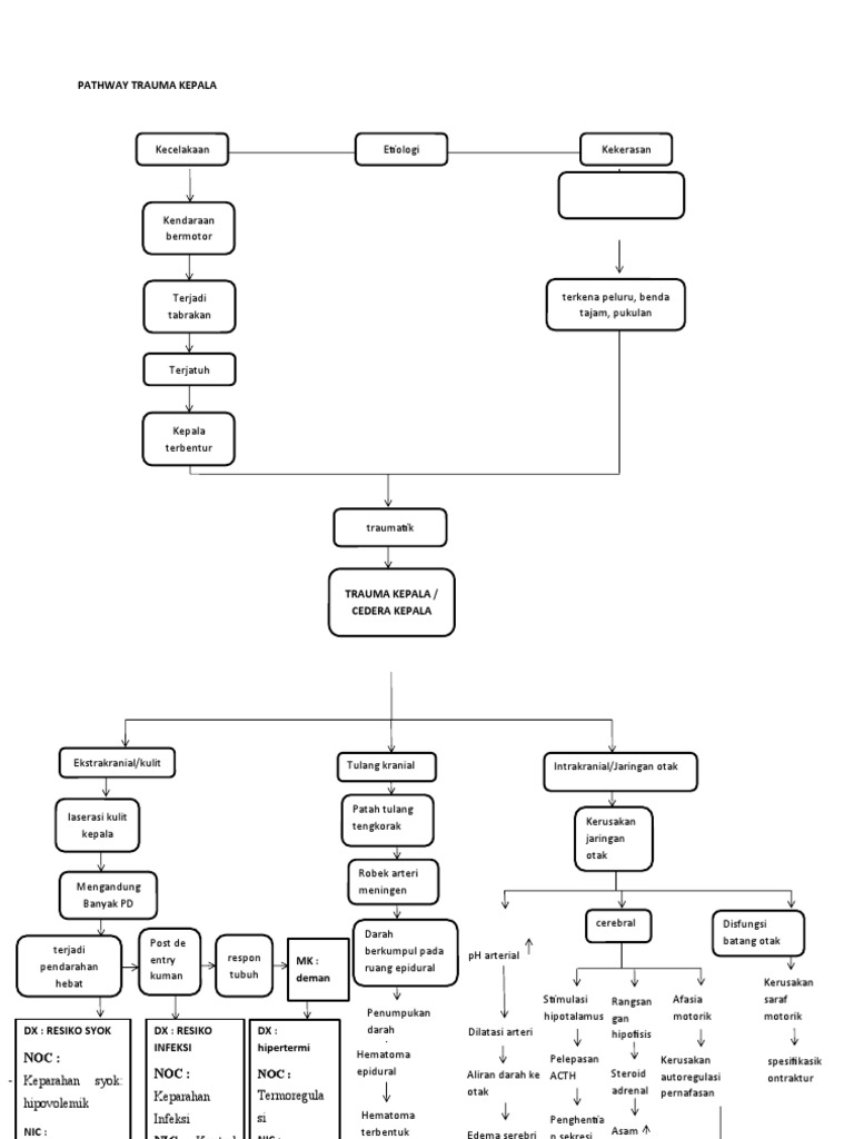 Pathway Trauma Kepala | PDF