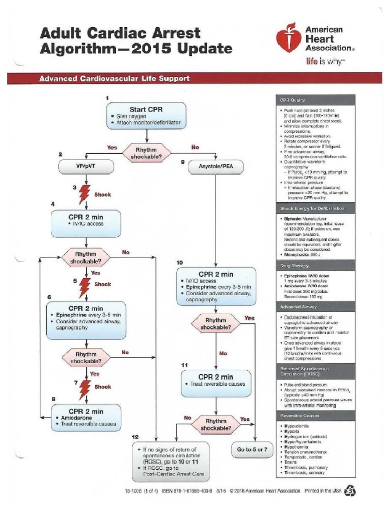 2015 Acls Algorithms | PDF
