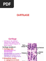 CHAPTER 7- CARTILAGE | PDF