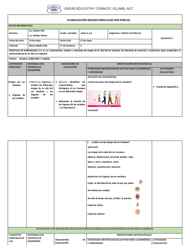 Planificacion Ciencias naturales | PDF | Alimentos | Aprendizaje