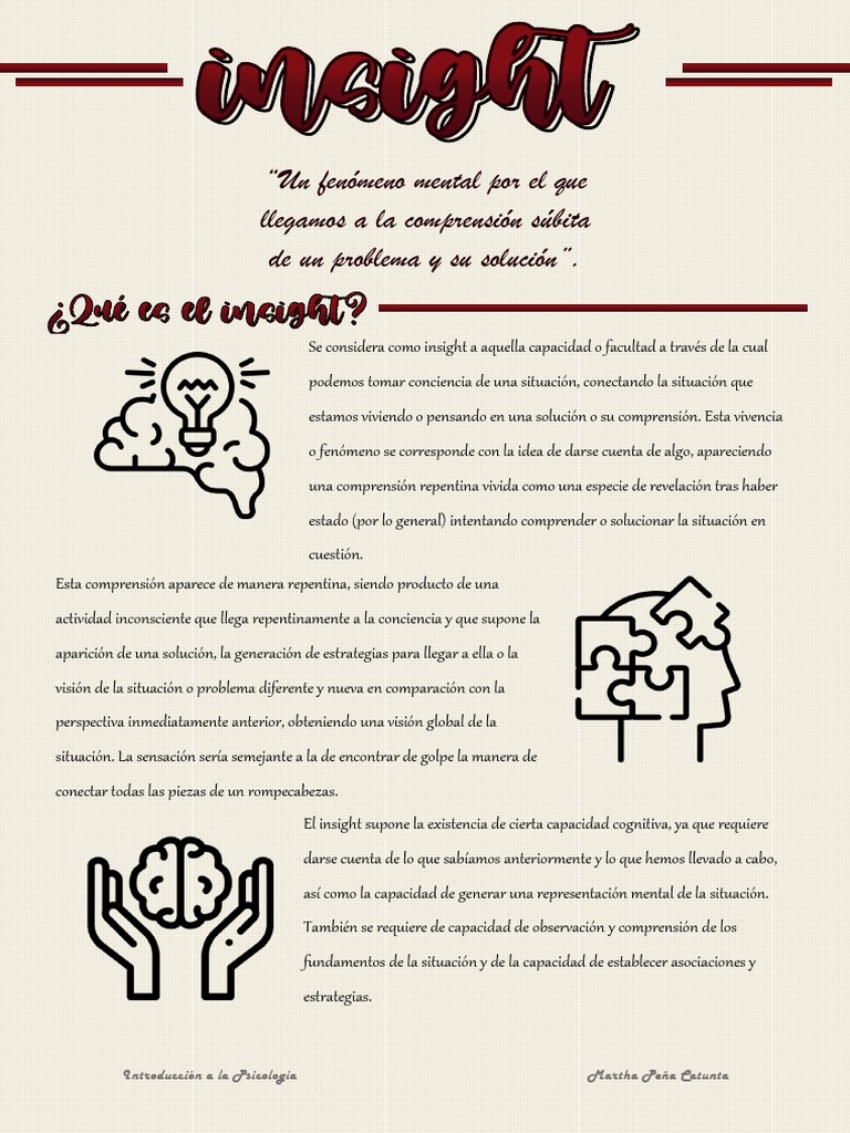 Que Es El Insight | PDF