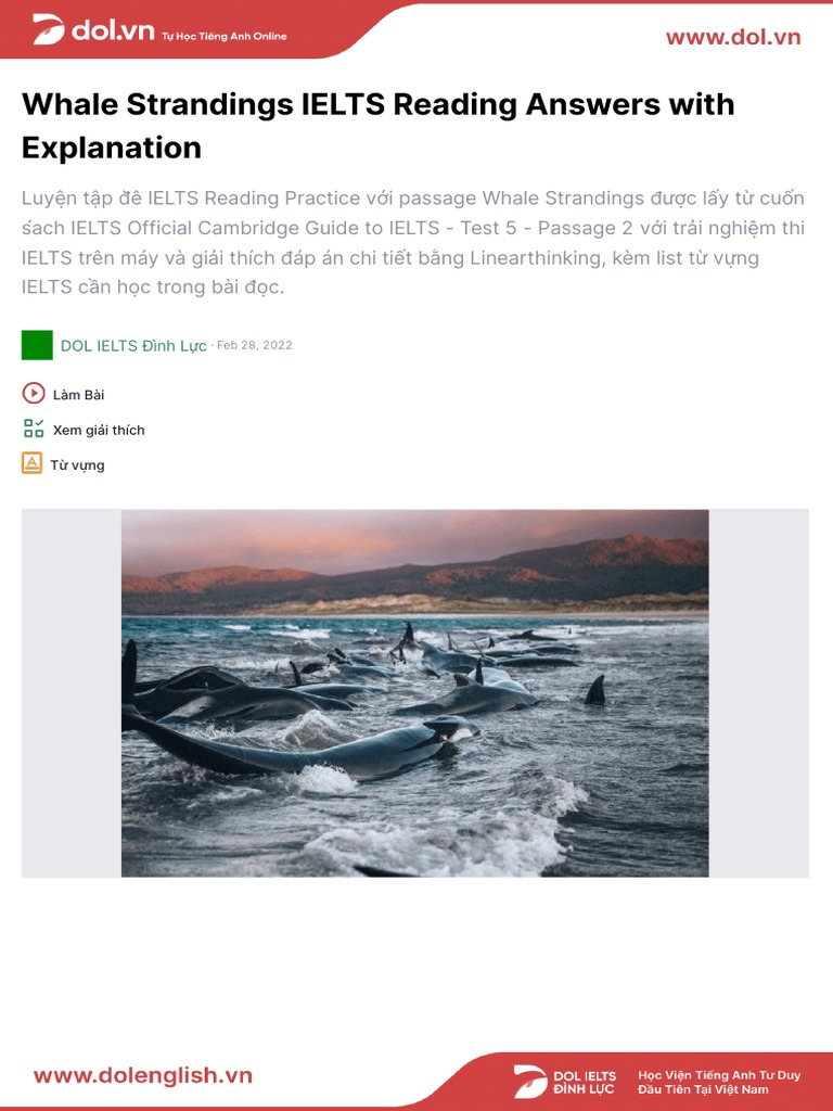 Whale Strandings IELTS Reading Answers With Explanation: Dol Ielts Đình L C | PDF | Whales ...