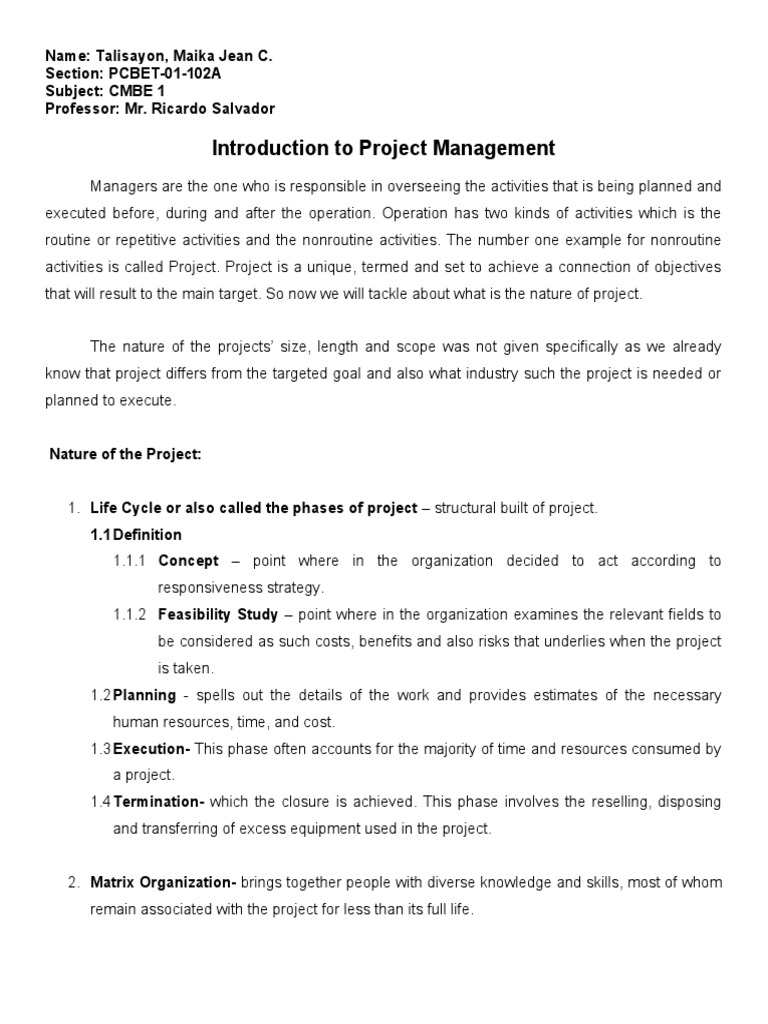 Document Report of PM - GROUP 3 | PDF | Project Management | Business