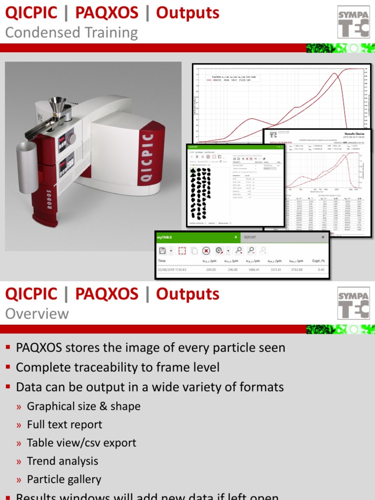 QP PAQXOS Outputs | Download Free PDF | Chart | Microsoft Excel