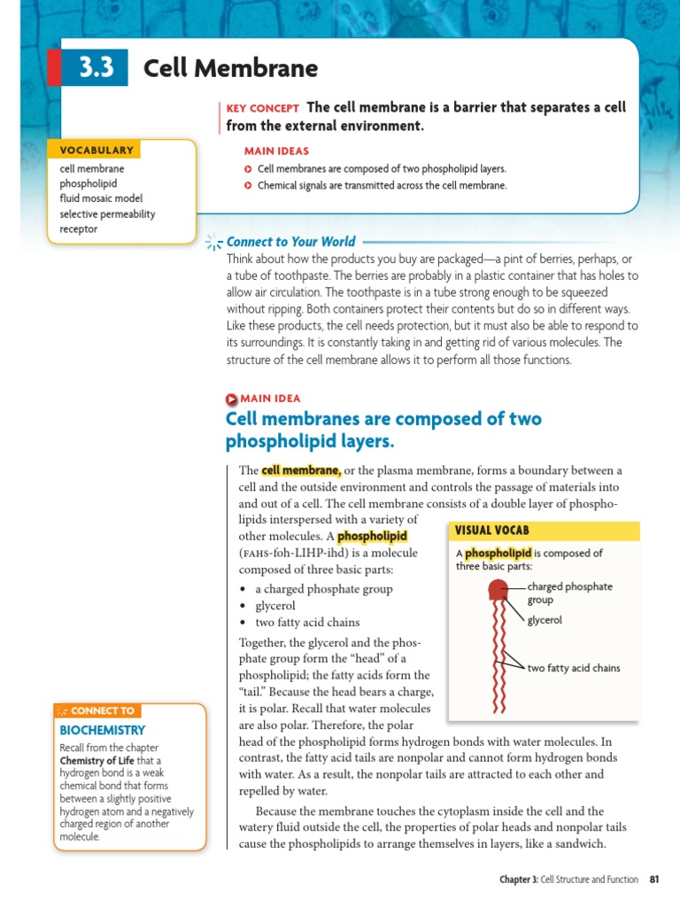 Cell Membrane: Cell Membranes Are Composed of Two Phospholipid Layers ...