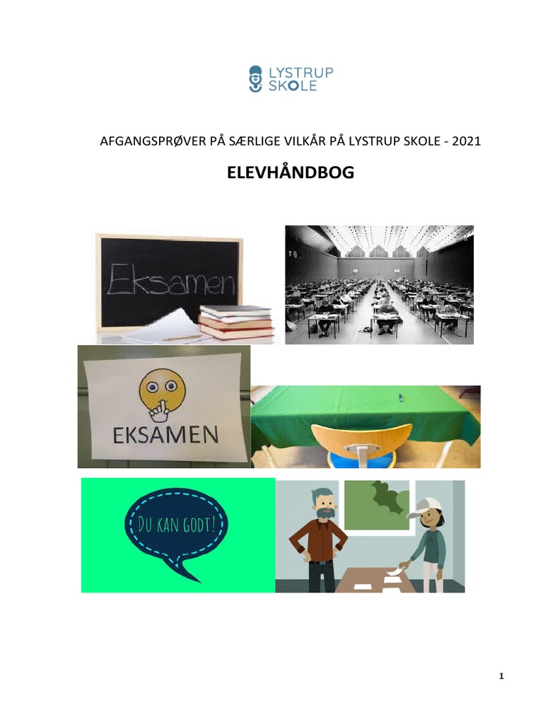 Elevhåndbog Særlige Vilkår Lystrup Skole | PDF