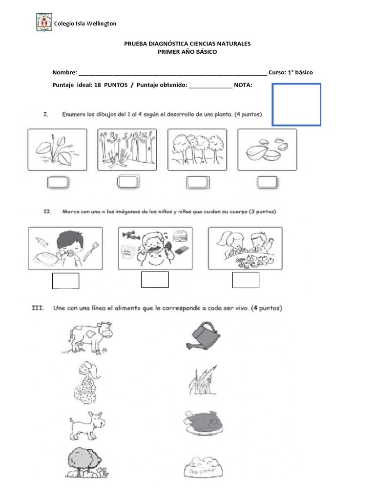 PRUEBA DIAGNÓSTICA CIENCIAS NATURALES | PDF