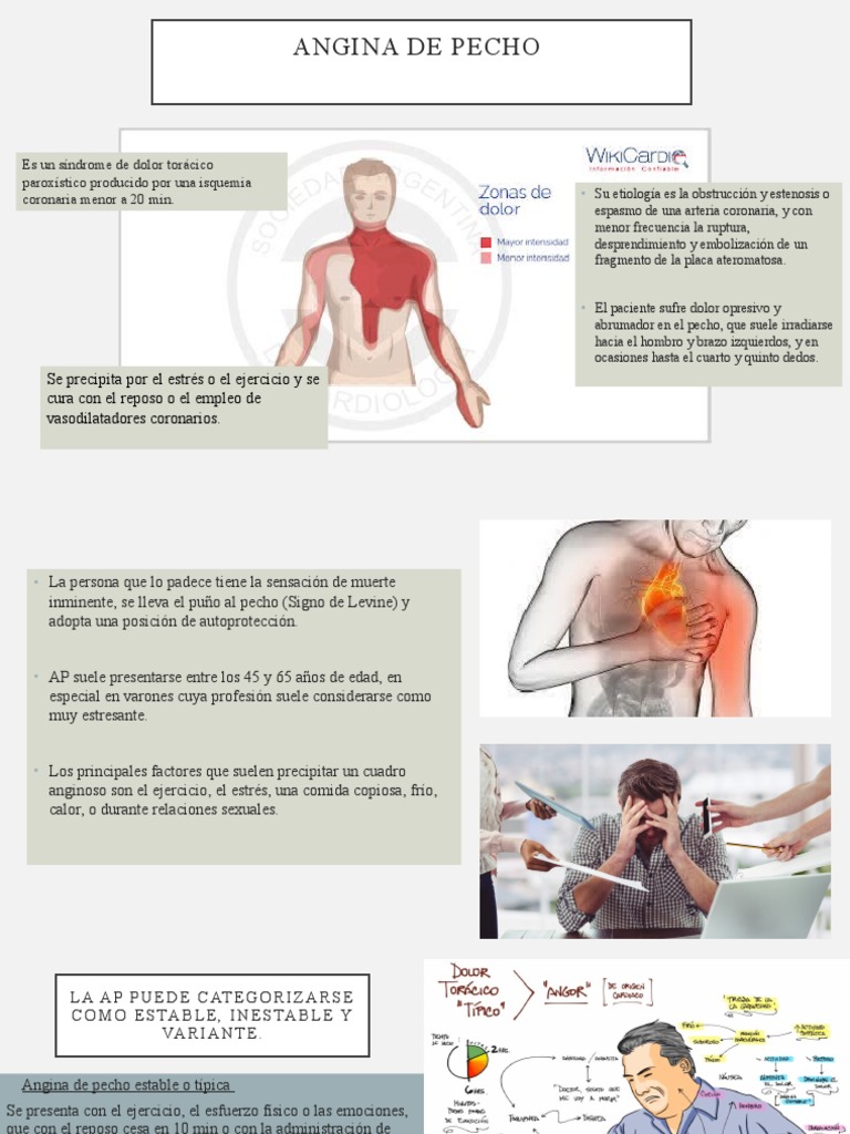 Angina de Pecho | PDF | Fisiología | Medicina CLINICA