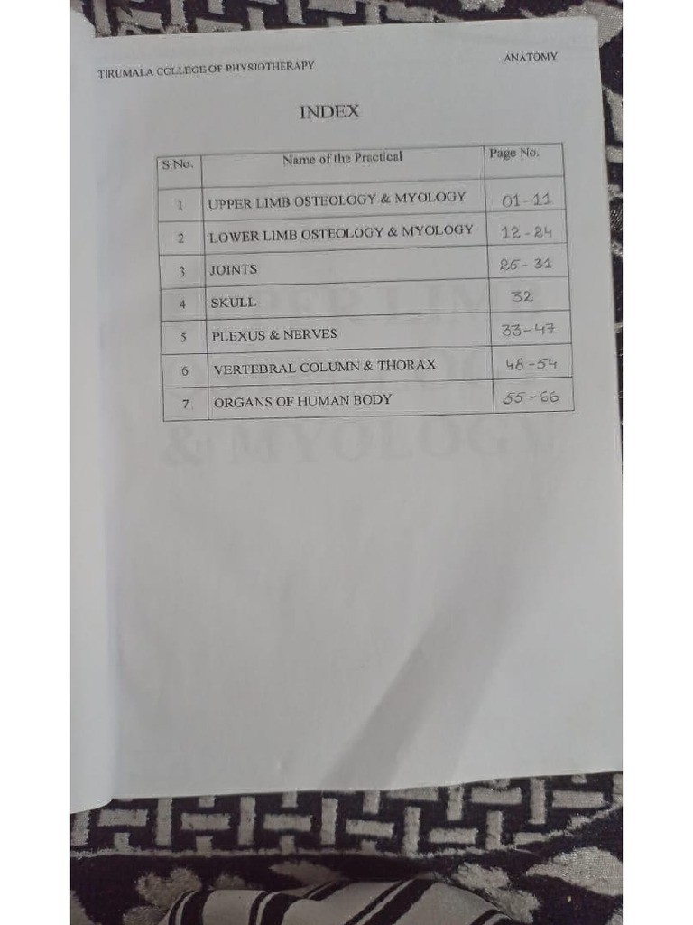 Anatomy Record Diagrams | PDF