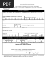 DC1 STPS Formato Word Editable | PDF