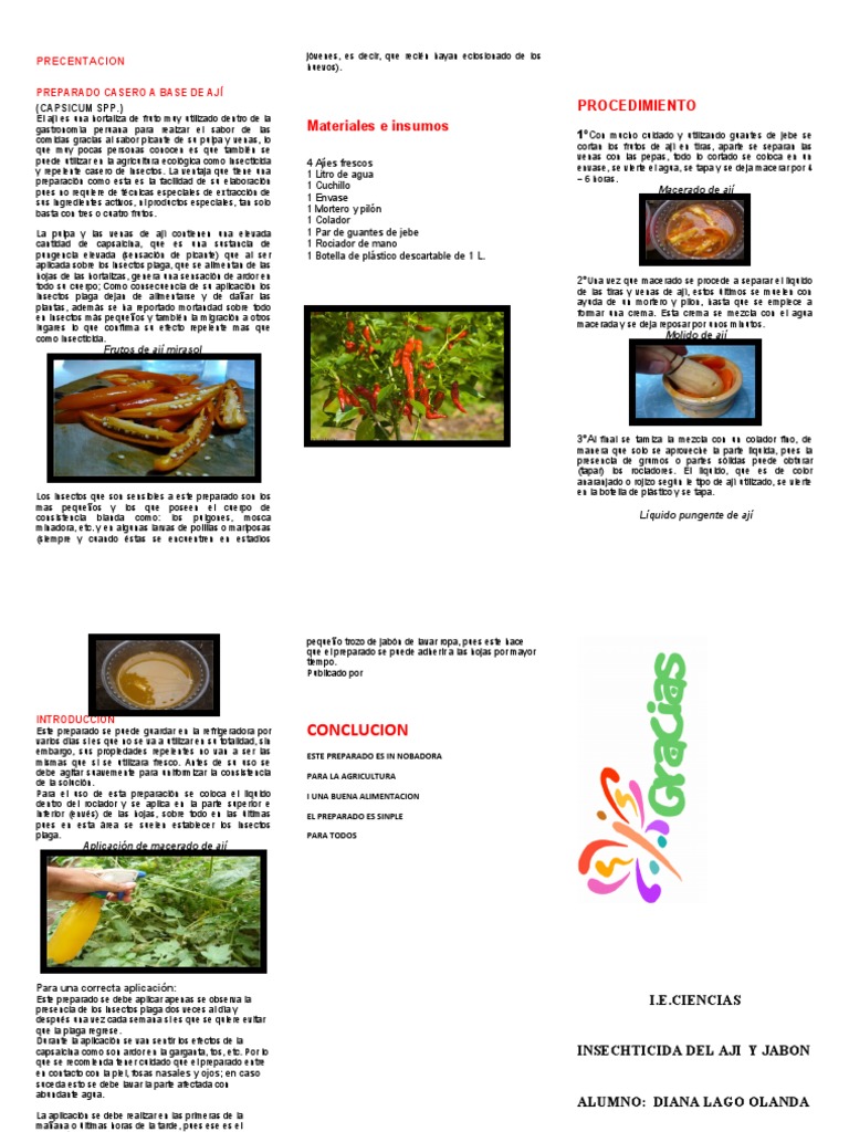 TRIPTICOS Insecticida Jabon CIENCIAS | PDF | Ají picante | Insectos