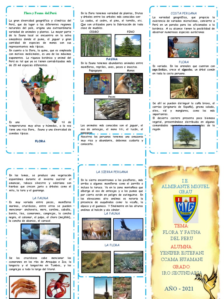 Triptico1 Flora y Fauna Peru | PDF | Perú | Selva amazónica
