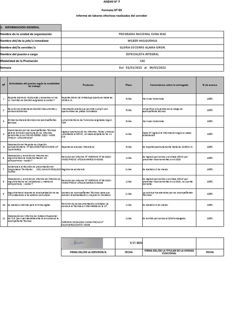 Anexo 7 - Formato 3 - Gloria Alama Girón | PDF