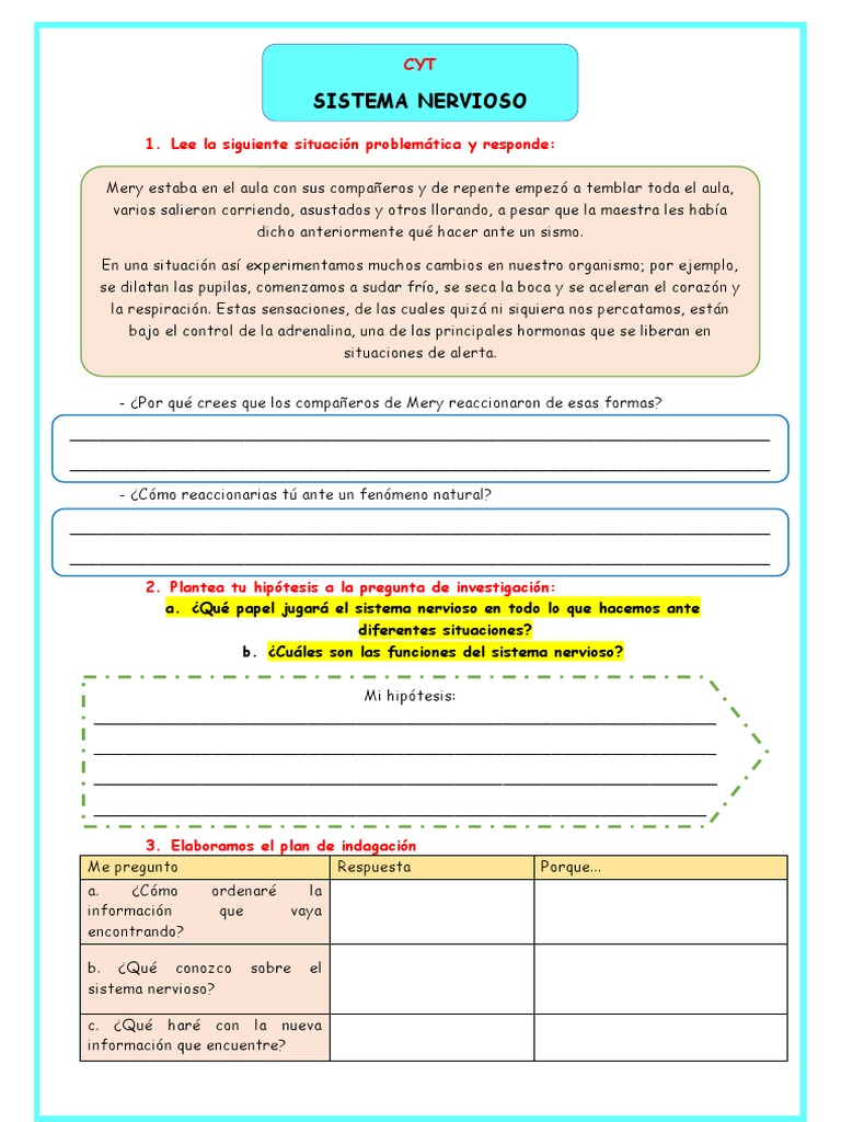 Ficha Cyt Sist. Nervioso Jueves 18 FB Maestras de Primarias Unidas 933623393 | PDF | Sistema ...
