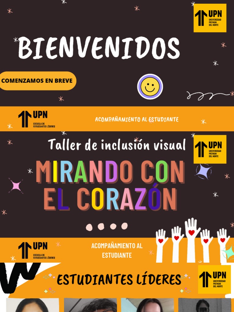 Taller 2 Inclusion Visual | PDF | Discapacidad visual | Percepción visual