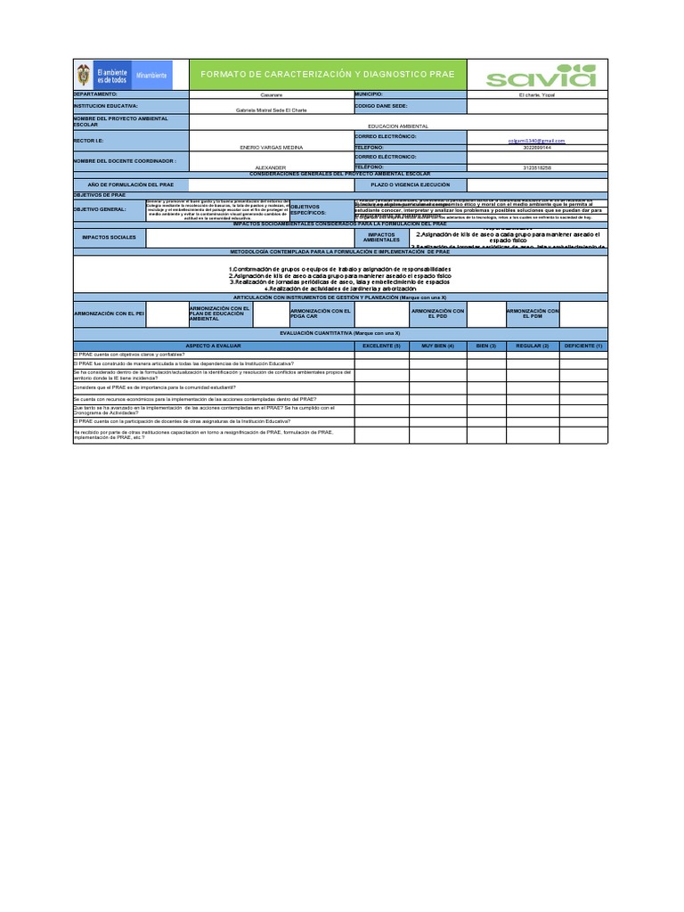 Formato Prae - Ajustada Ie Gabriela Mistral | PDF | Entorno natural