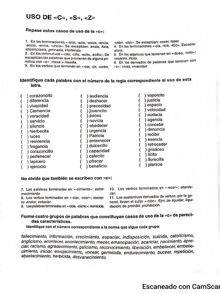 Actividad Formativa. Usos de La C, S y Z. | PDF