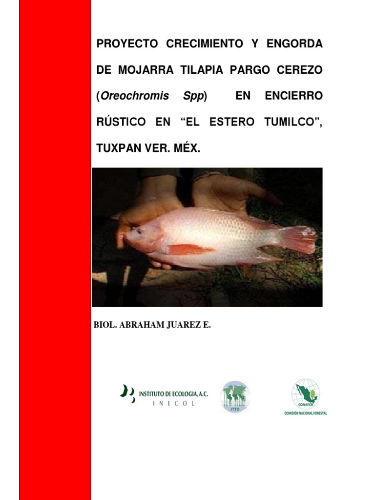 Engorda de Mojarra Tilapia en Tuxpan | PDF | Ciclones tropicales ...